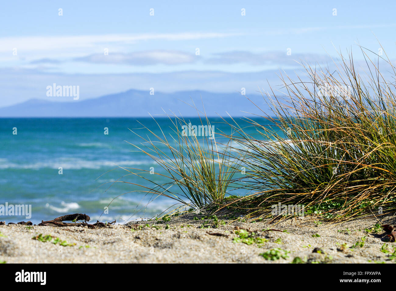 View of Stewart Island across Foveaux Strait from a beach in Howells ...