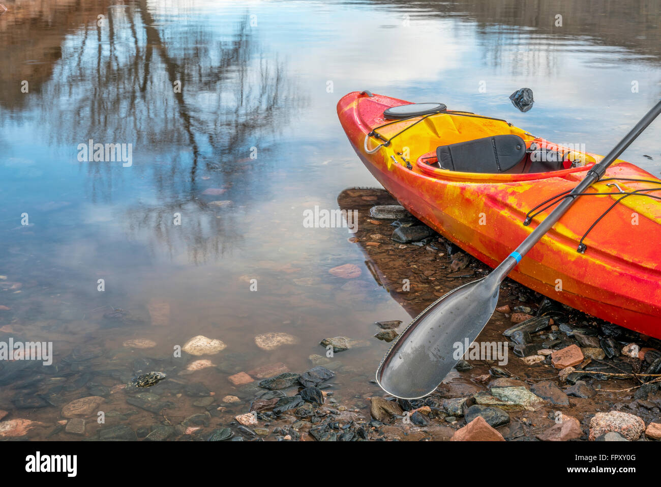 colorful river kayak with a paddle on rocky lake shore with a tree ...