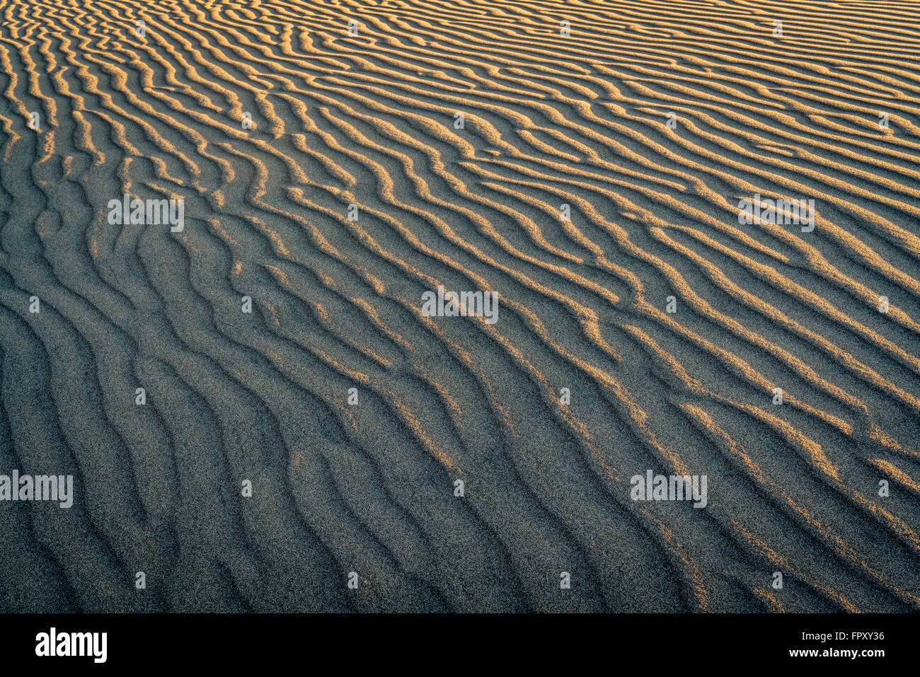 texture and pattern of a sand dune in Great Sand Dunes National Park ...