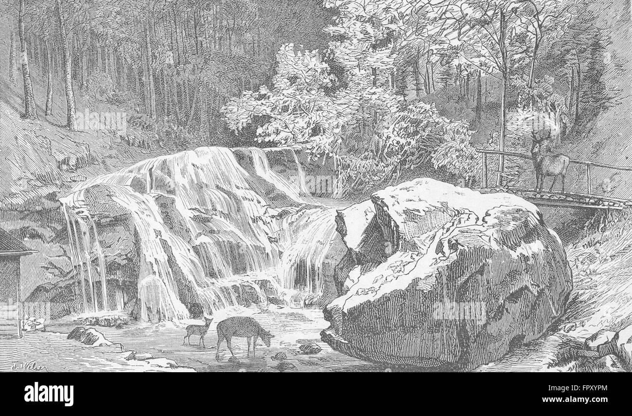 ZURICH: Wildpark Langnau: Weber, antique print 1879 Stock Photo - Alamy