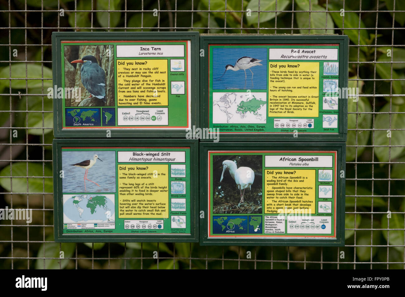 See explanation hi-res stock photography and images - Alamy