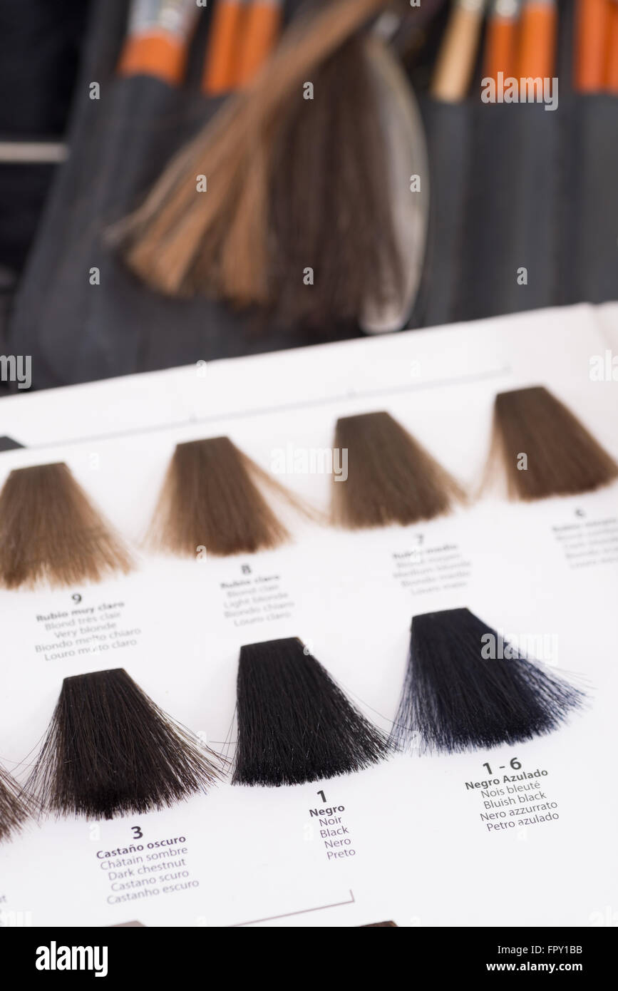Professional color chart for hair dyeing against the backround of ...