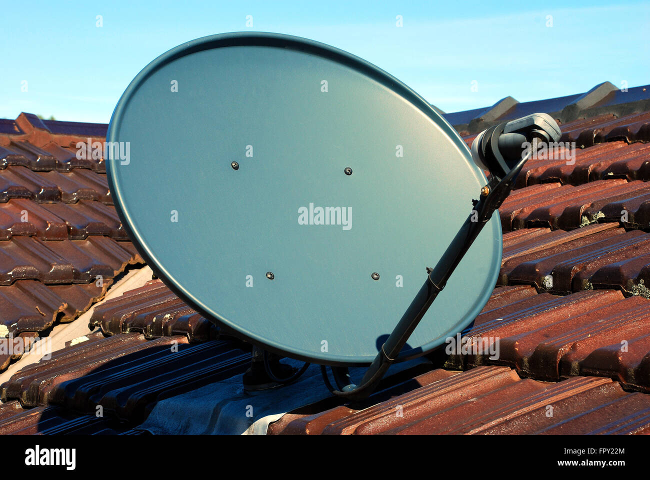 Dish image hi-res stock photography and images - Alamy