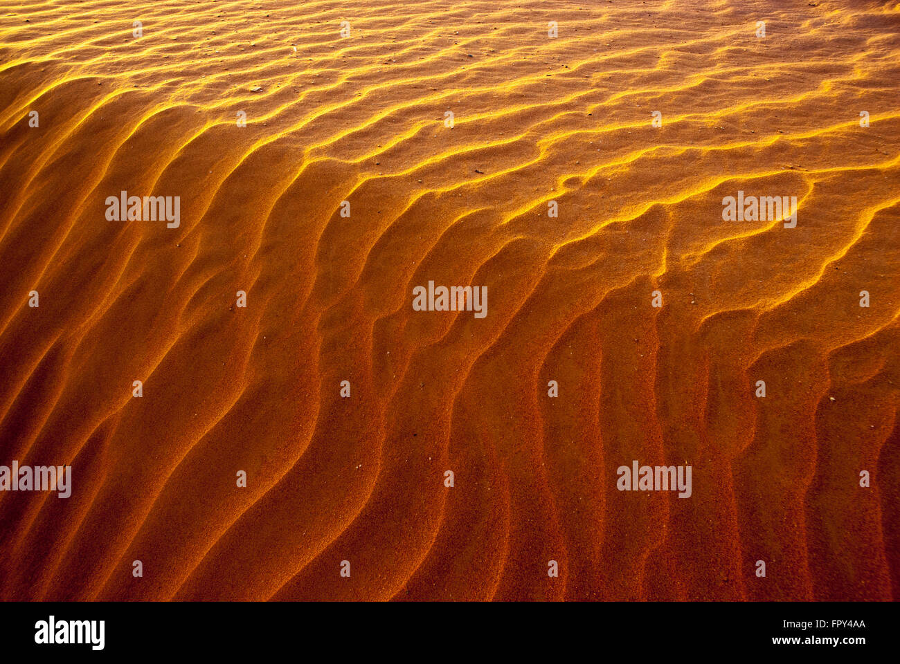 Wave pattern in the sand dunes of Erg Chegaga, Morocco Stock Photo - Alamy