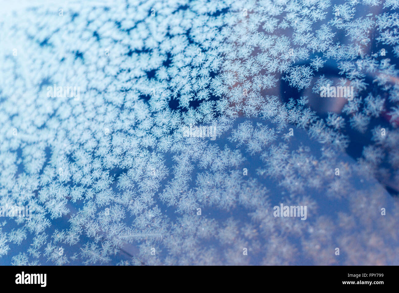 Frost patterns on a glass window creates winter themed patterns with a ...