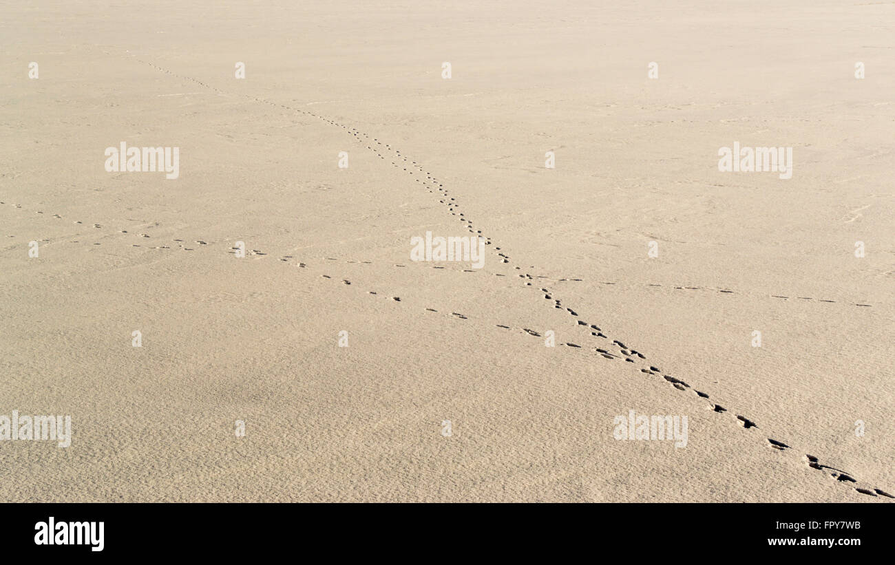 Barren and empty winter landscape scene with minimal elements in the ...