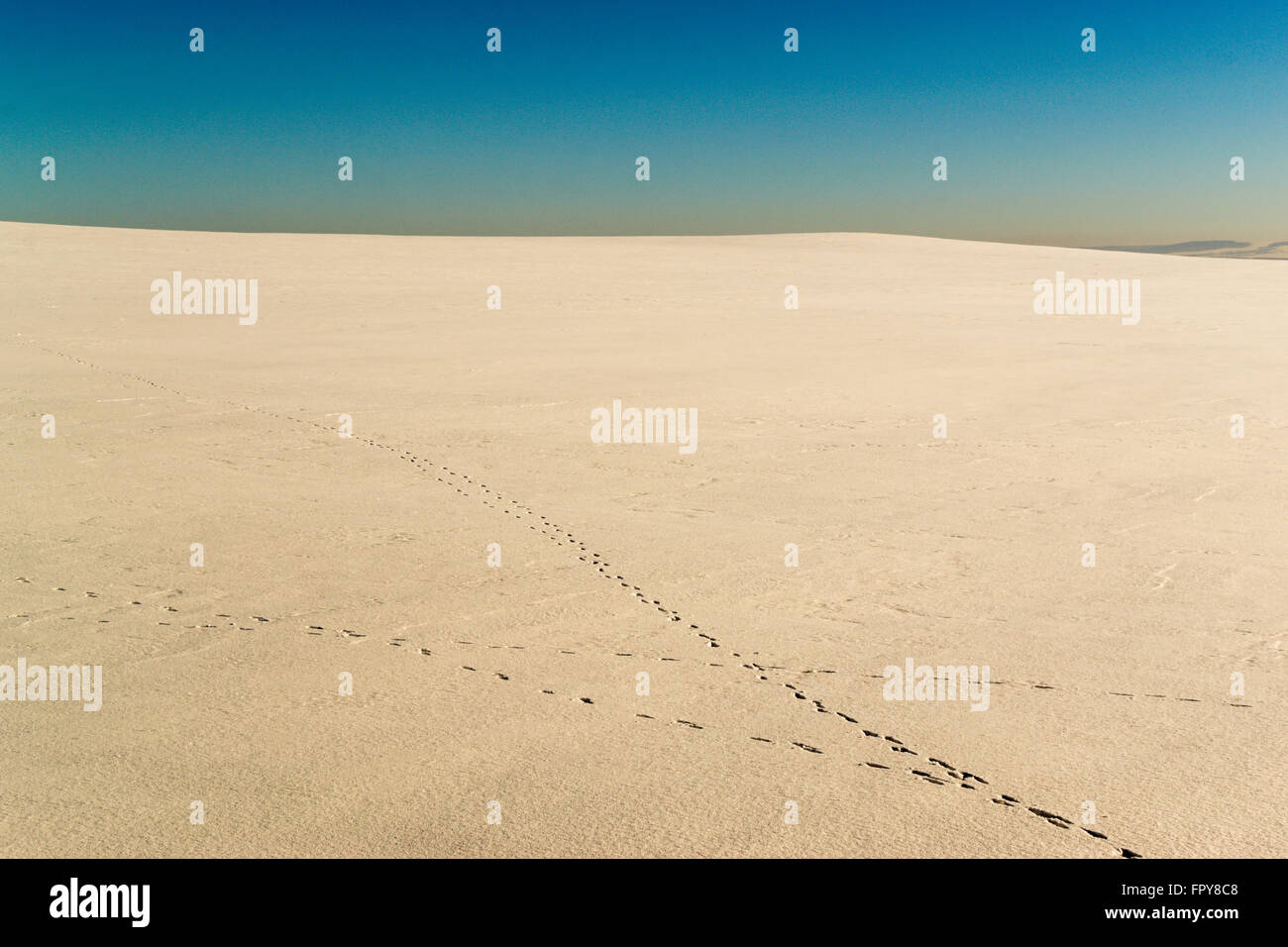 Barren and empty winter landscape scene with minimal elements in the ...