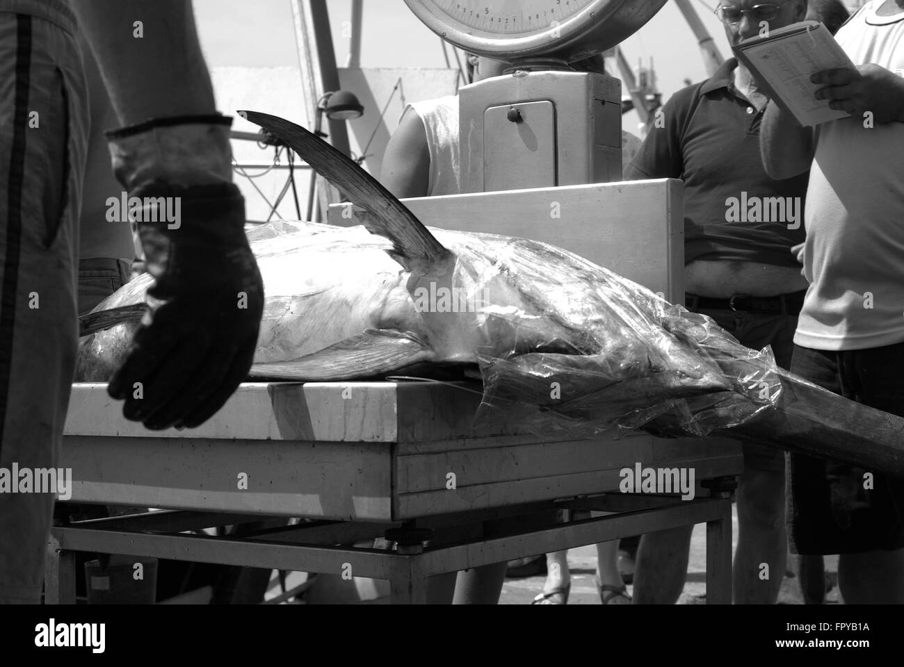 Swordfish fish market Black and White Stock Photos & Images - Alamy