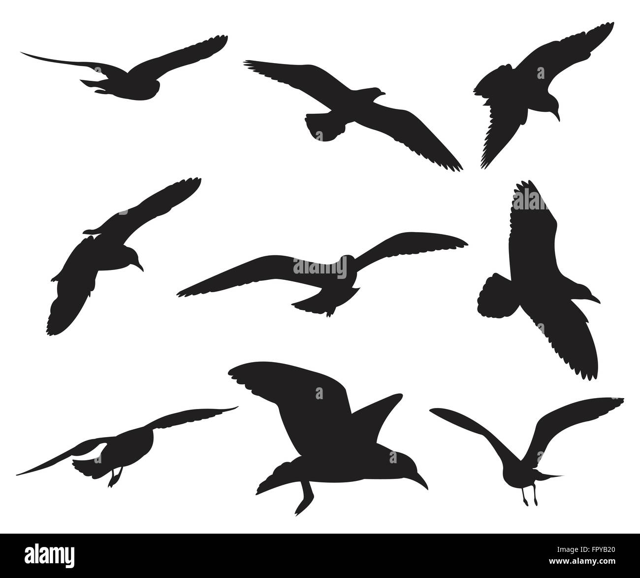 Flying seagull bird black silhouette hi-res stock photography and ...