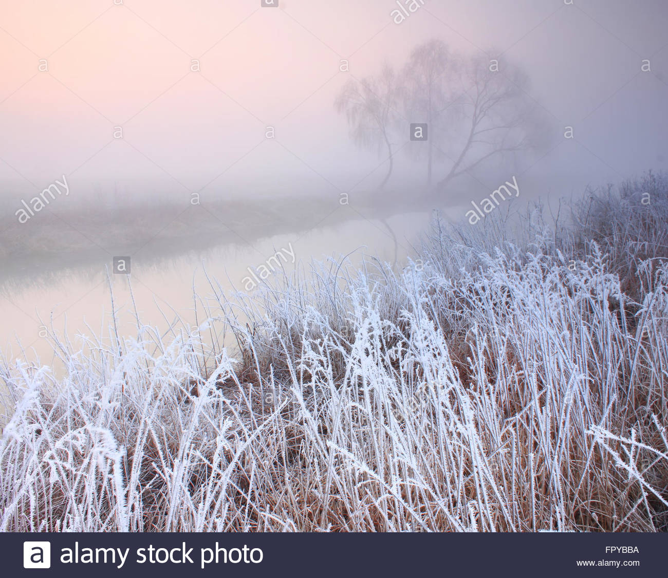 Early Morning View Stock Photos & Early Morning View Stock Images - Alamy