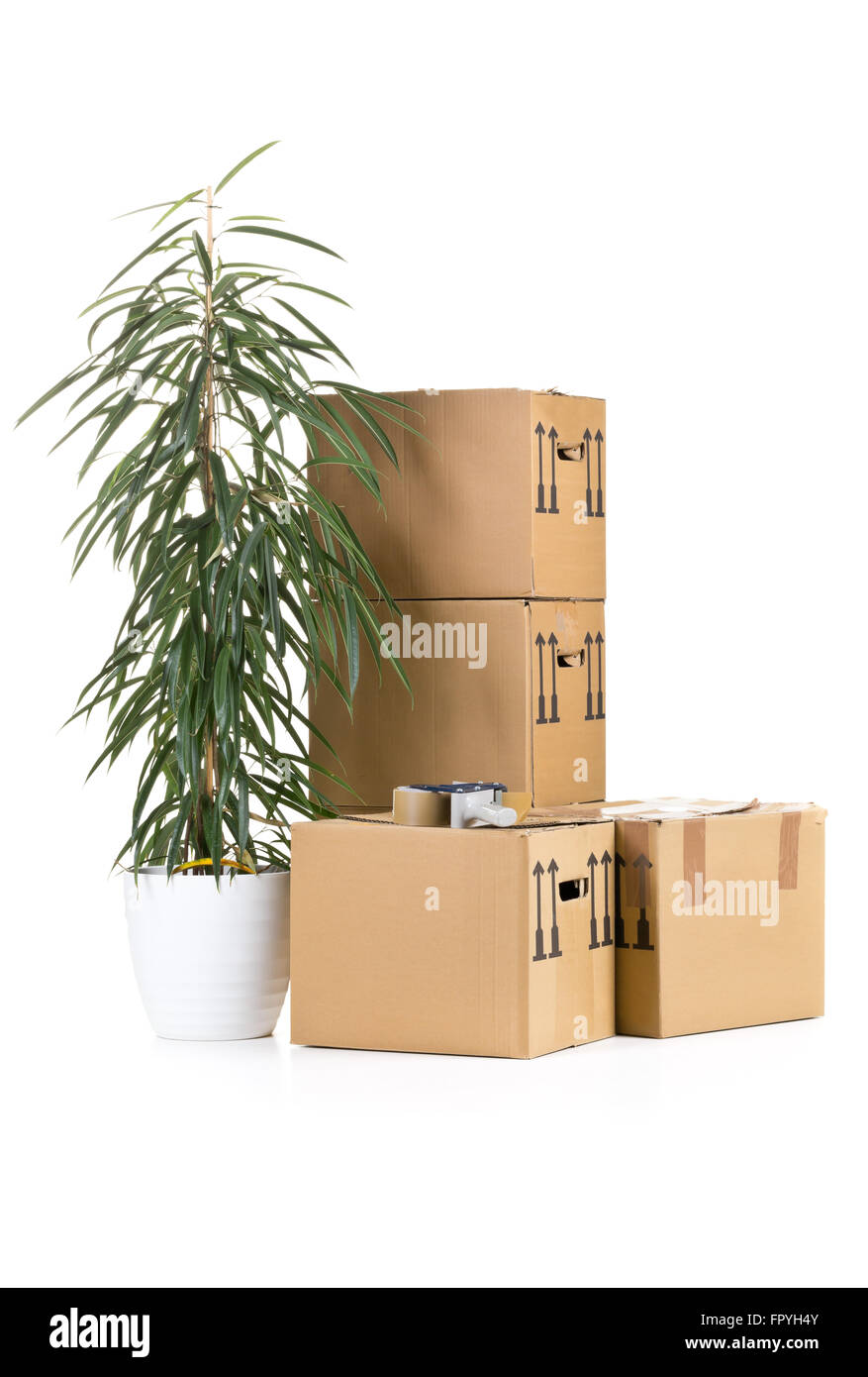 Stack of moving carton boxes with plant over white background Stock ...