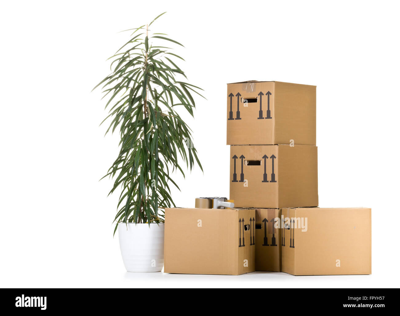 Stack of moving carton boxes with plant over white background Stock ...