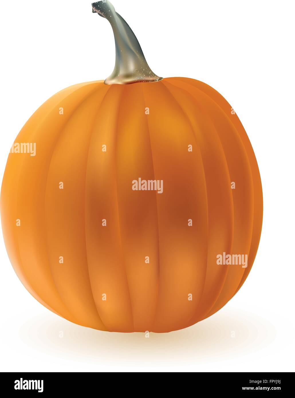 Meals on leaf Stock Vector Images - Alamy