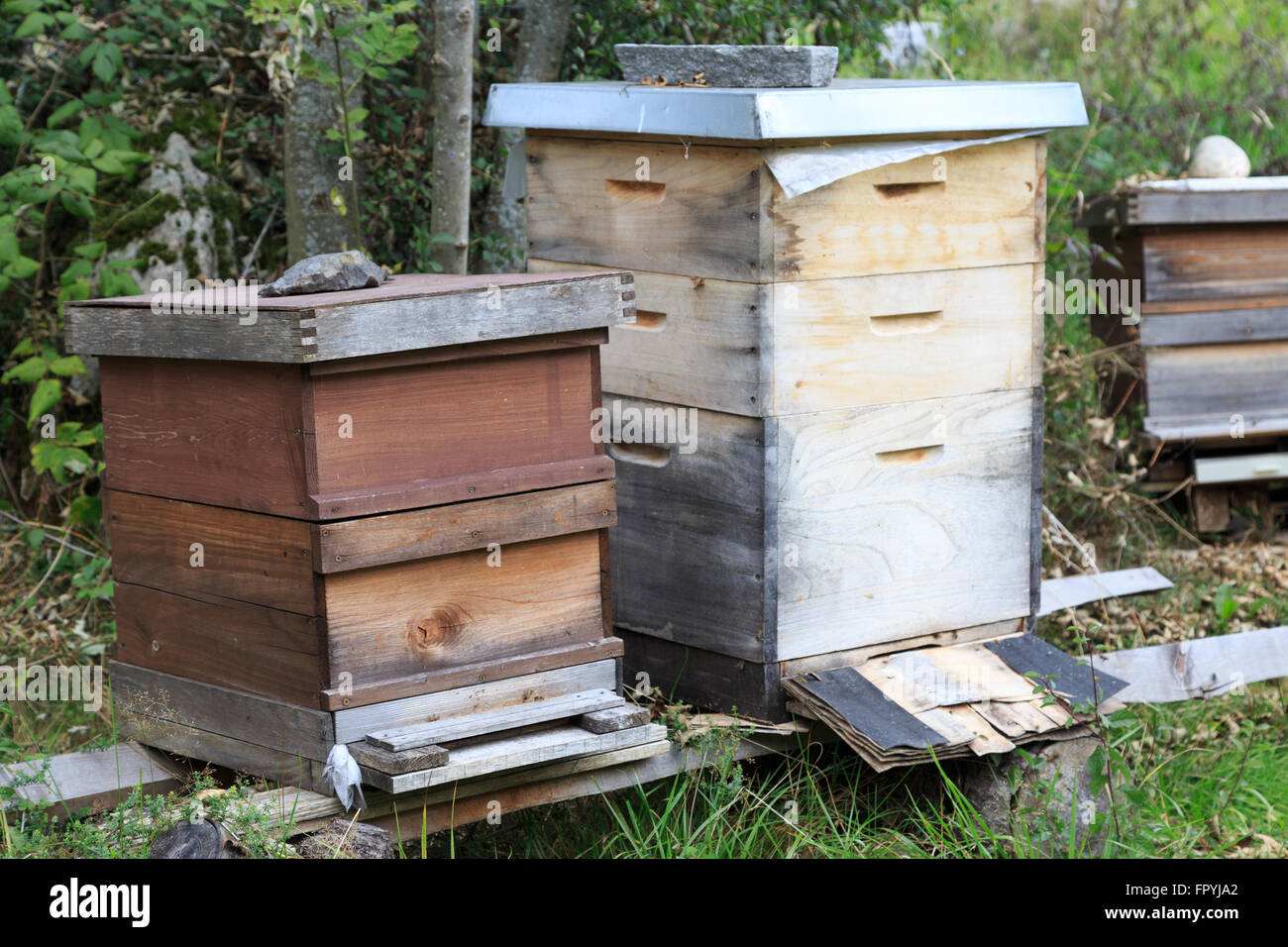 A photograph of a man made beehive in a sustainable garden area on ...