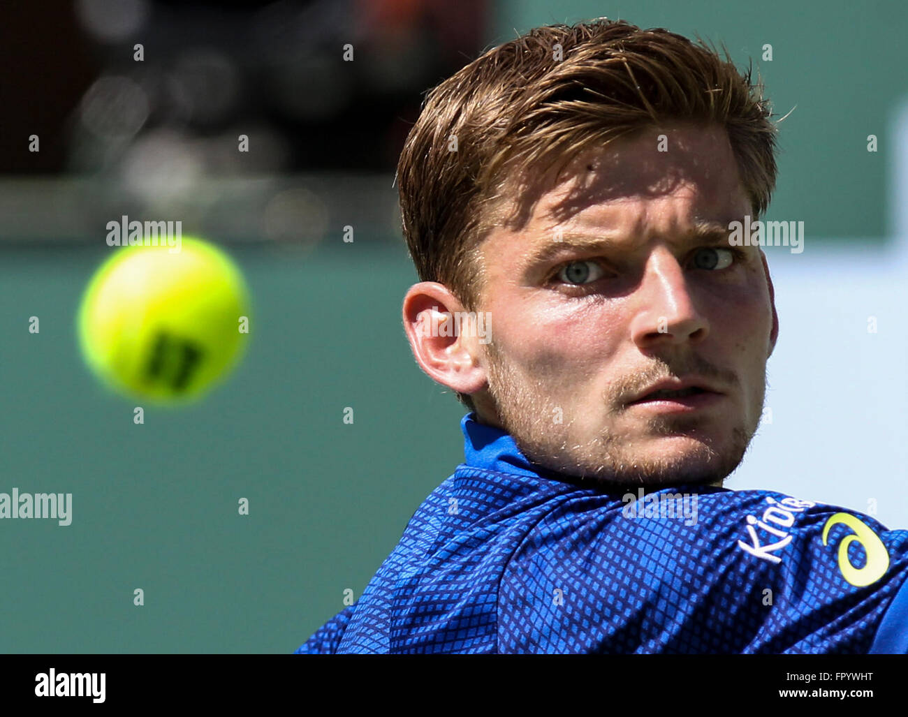 Beijing, USA. 17th Mar, 2016. David Goffin of Belgium eyes on a ball ...