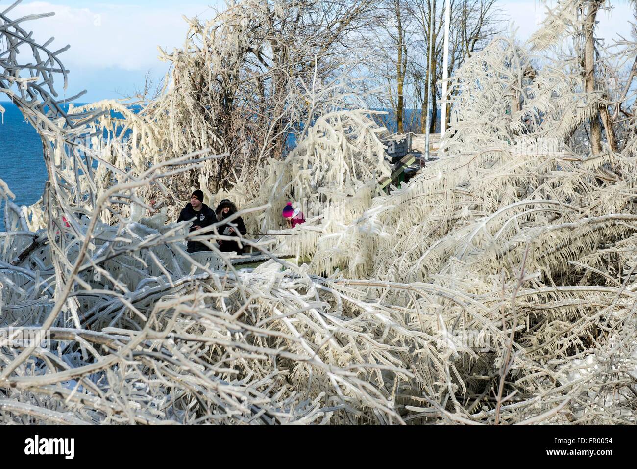 Ontika estonia hi-res stock photography and images - Alamy