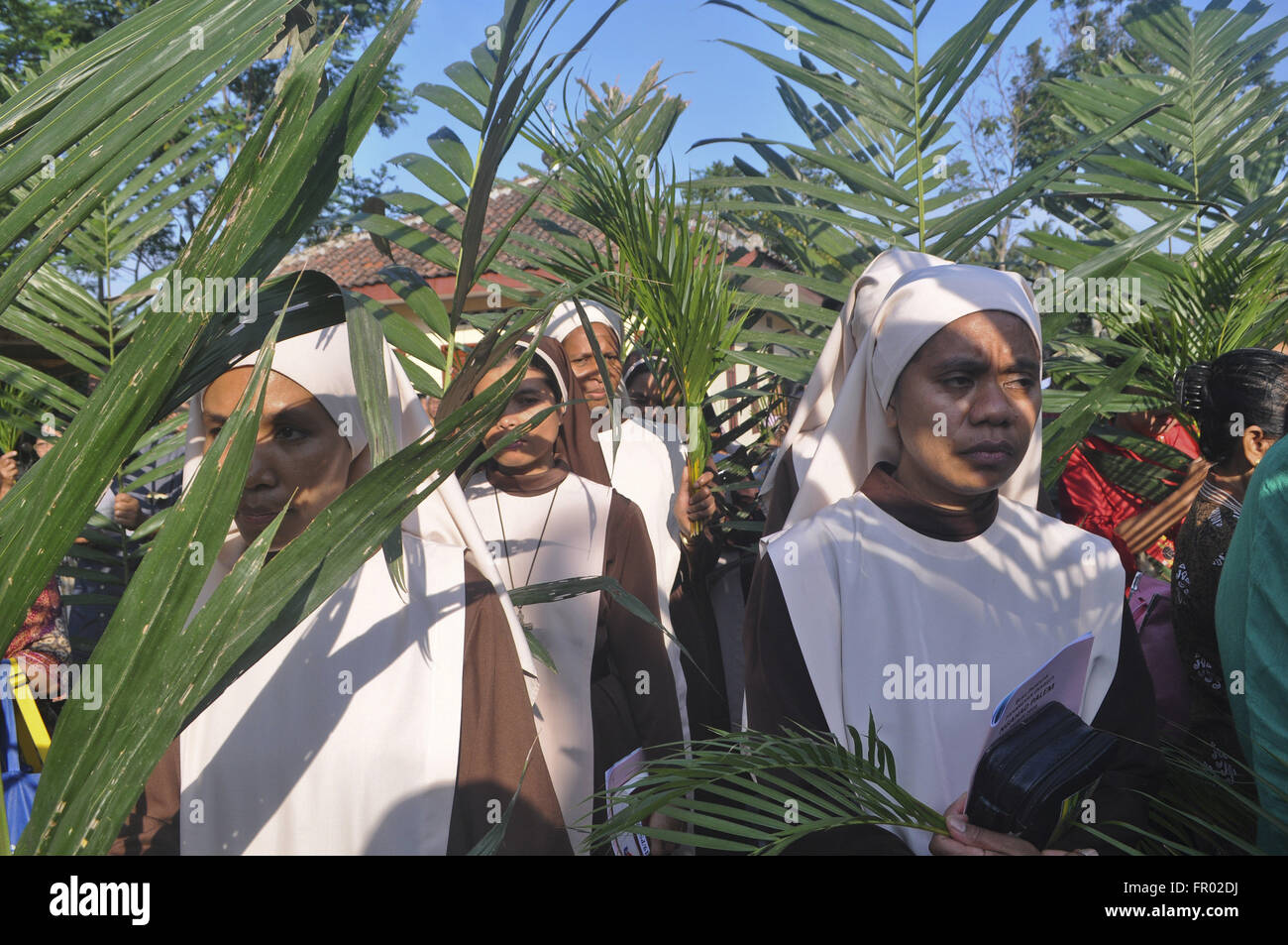 Carrying palm leaves hi-res stock photography and images - Alamy
