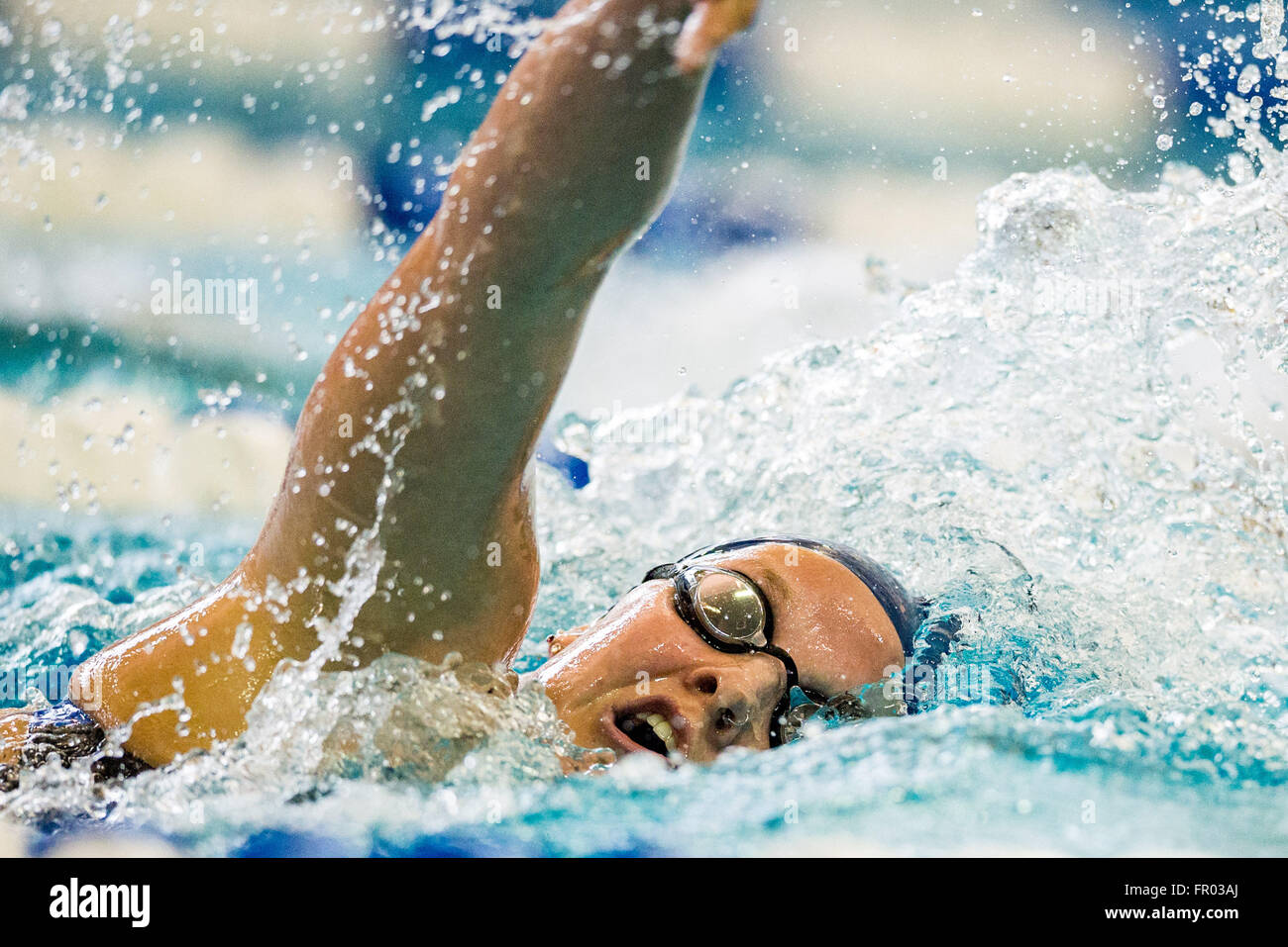 Pitt swimmer Amanda Richey during the NCAA Women's Swimming and Diving ...