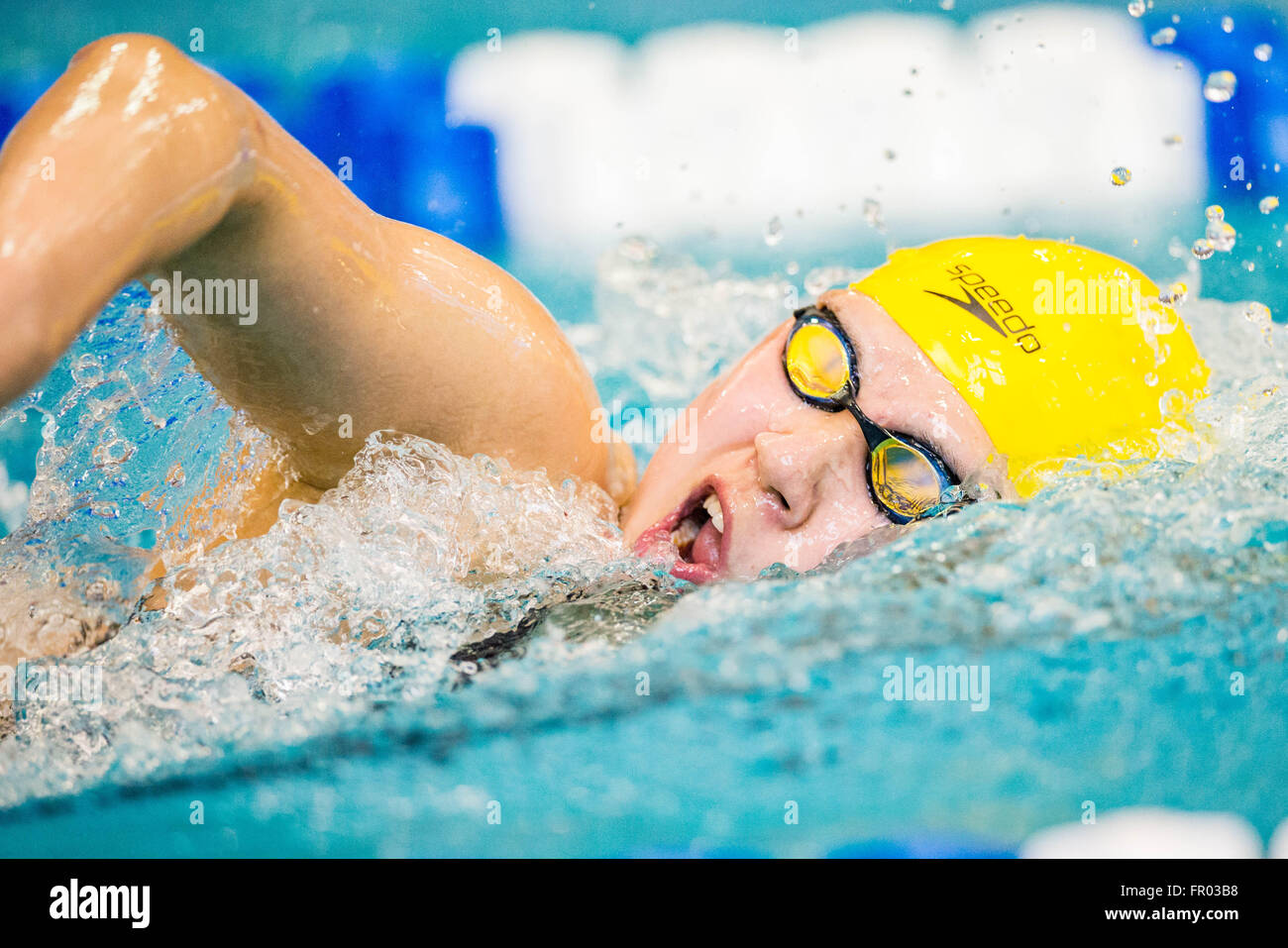 Michigan swimmer Gillian Ryan during the NCAA Women's Swimming and ...