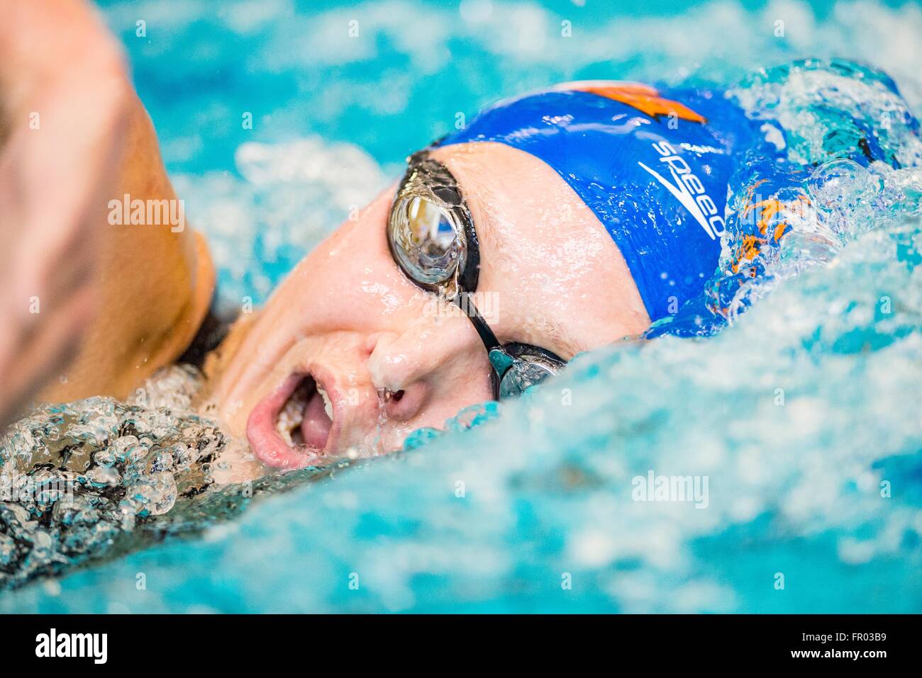 Florida swimmer Autumn Finke during the NCAA Women's Swimming and ...