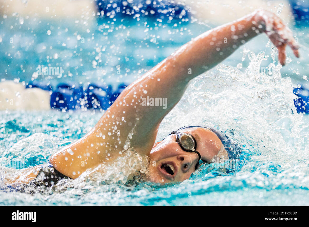 Pitt swimmer Amanda Richey during the NCAA Women's Swimming and Diving ...