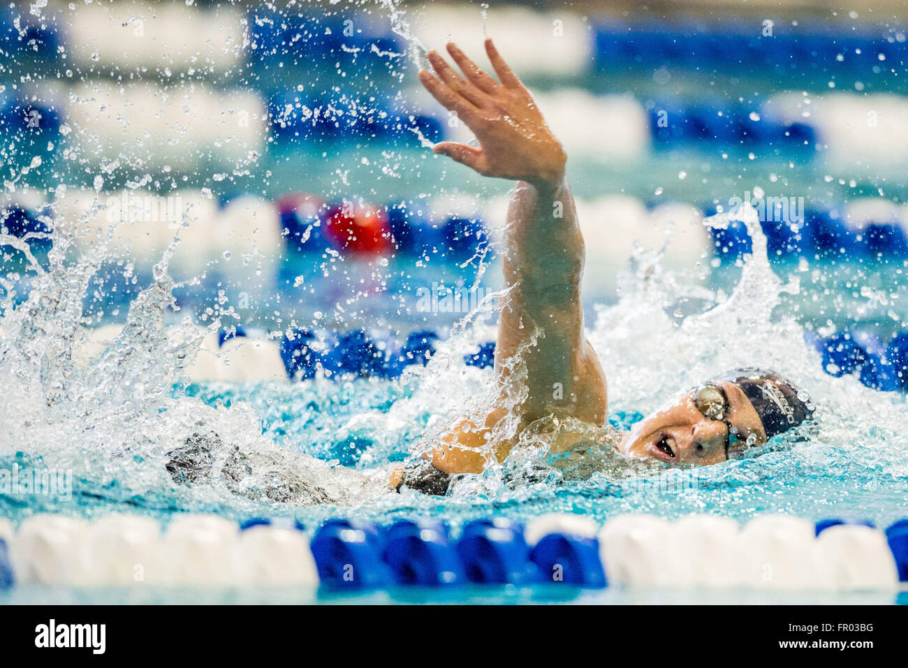 Virginia swimmer Leah Smith during the NCAA Women's Swimming and Diving ...
