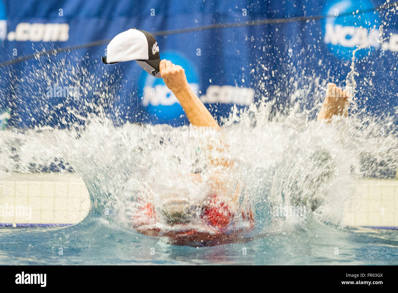 UGA swimming staff jump into the pool after UGA wins the National ...