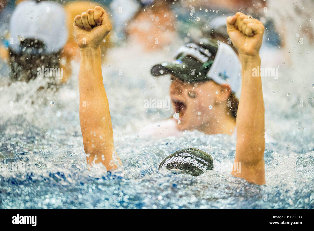 Georgia swimmers celebrate as they win the National Championship during ...