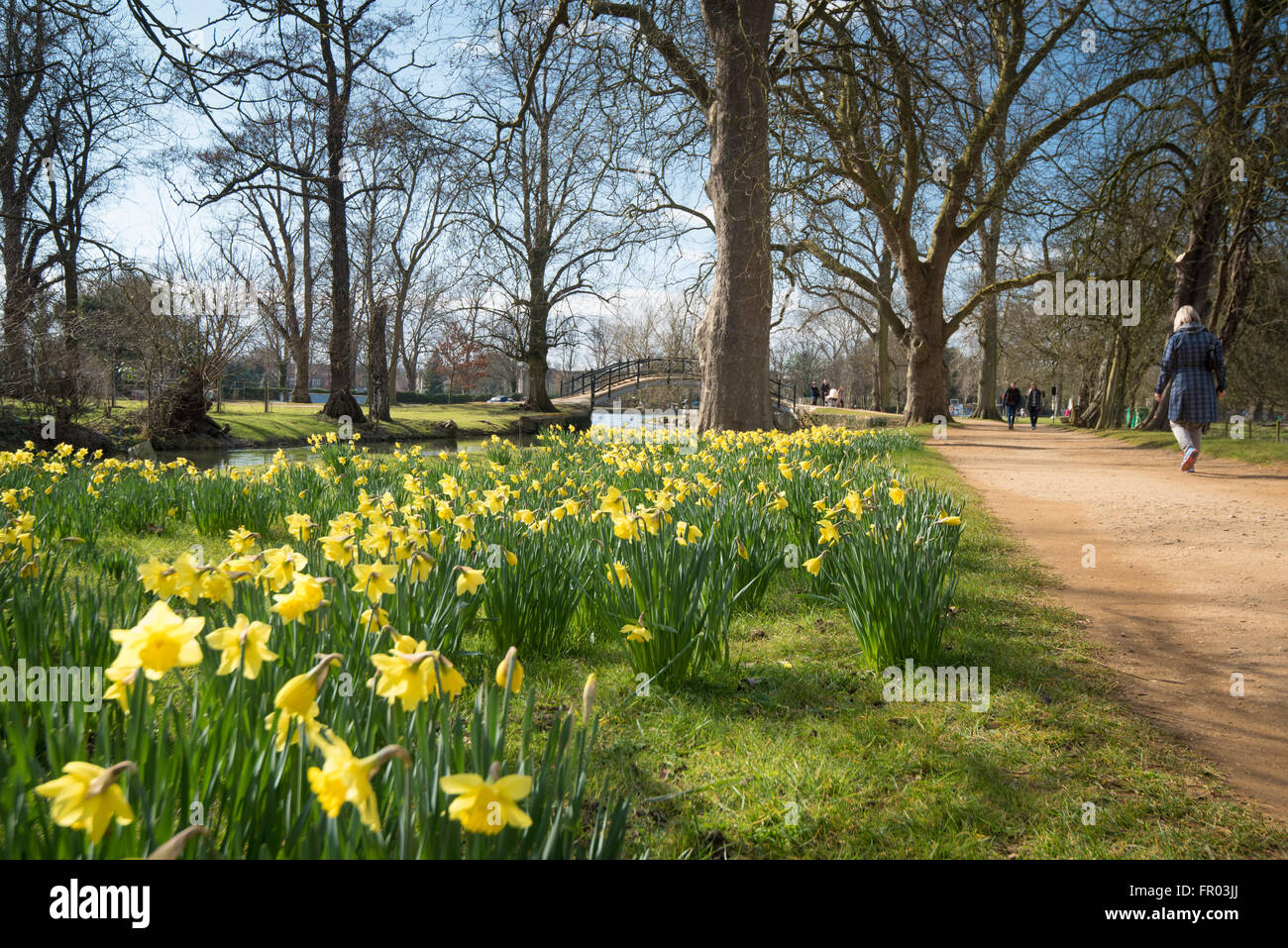 Christchurch Meadow, Oxford, Oxfordshire, UK. 20th Mar, 2016. UK ...
