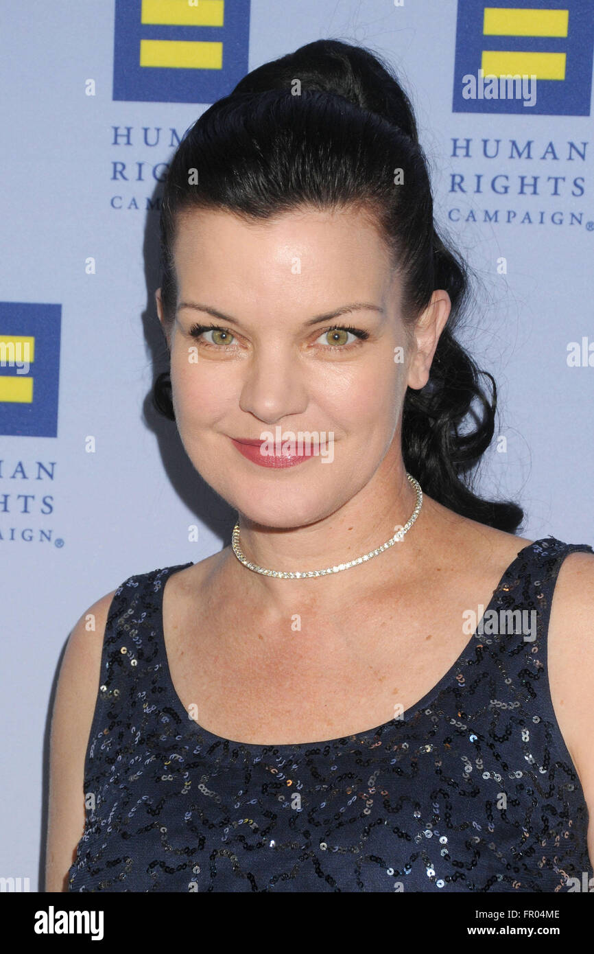 Pauley perrette 2016 human rights campaign los angeles gala dinner hi ...