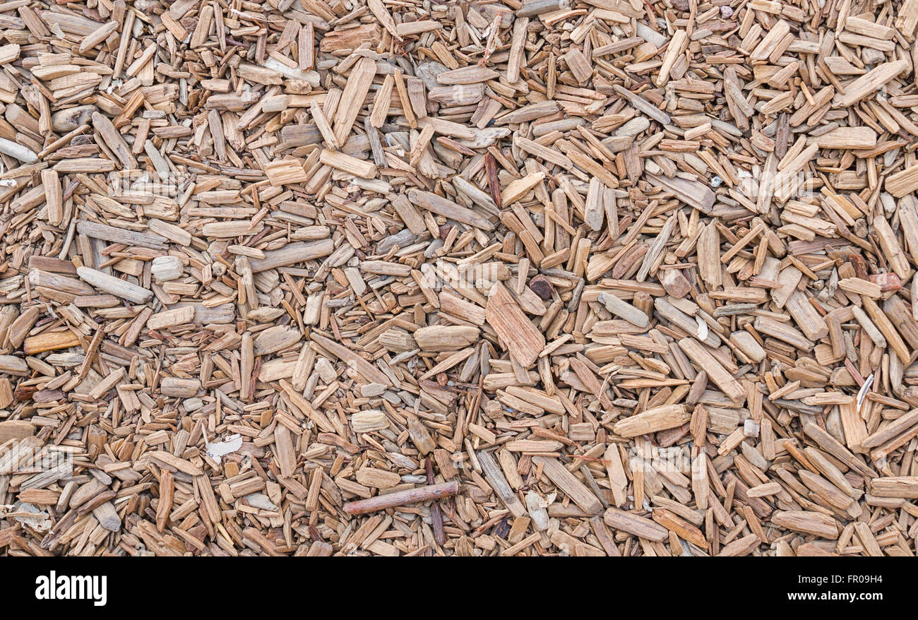 Mixed wood abstract background in the park Stock Photo - Alamy