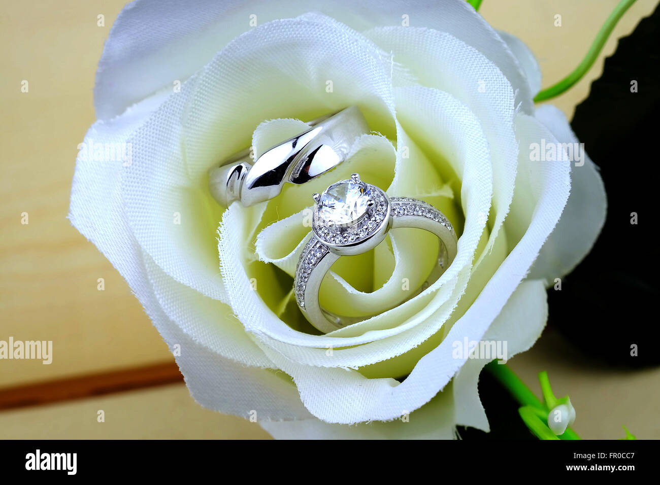 White rose with rings hi-res stock photography and images - Alamy