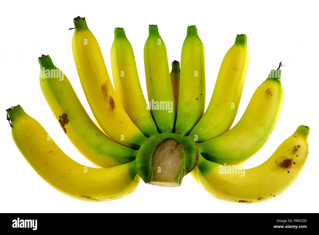 banana green and yellow of Thailand Stock Photo - Alamy