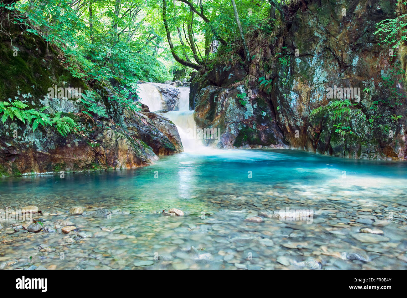 Natural stream and waterfall in the mountains of Gunma, Japan Stock ...
