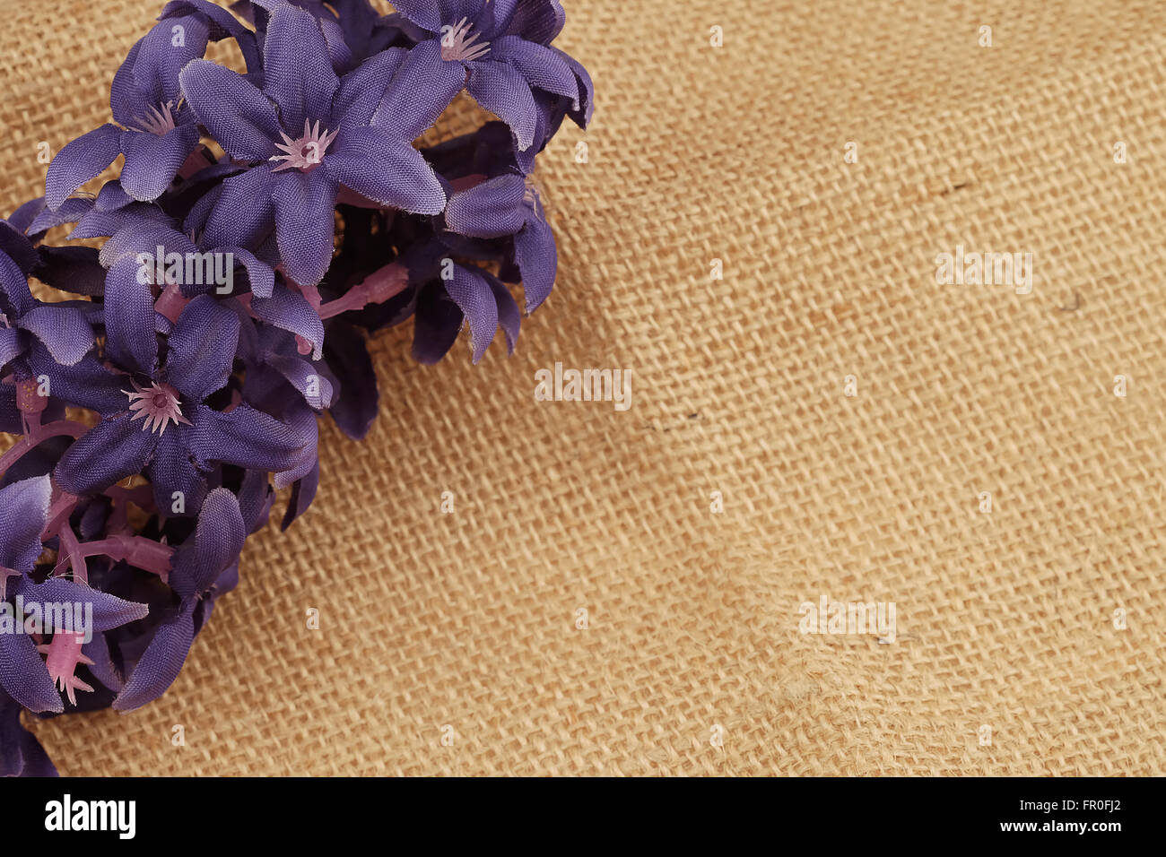 Background of a textured brown cotton fabric and flower Stock Photo - Alamy