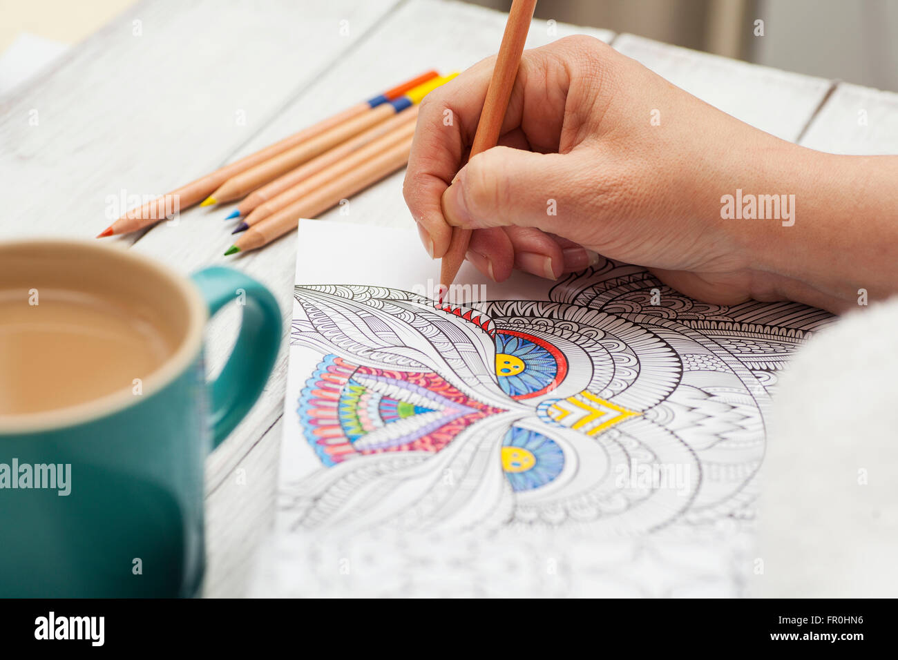 Person coloring in an adult coloring book with colorful pencil crayons ...