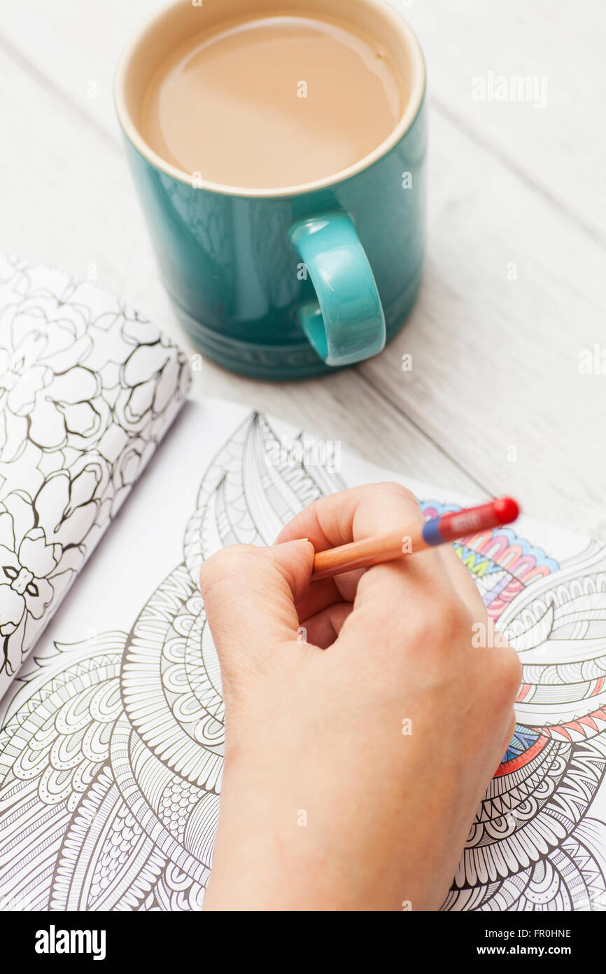 Person coloring in an adult coloring book with colorful pencil crayons ...