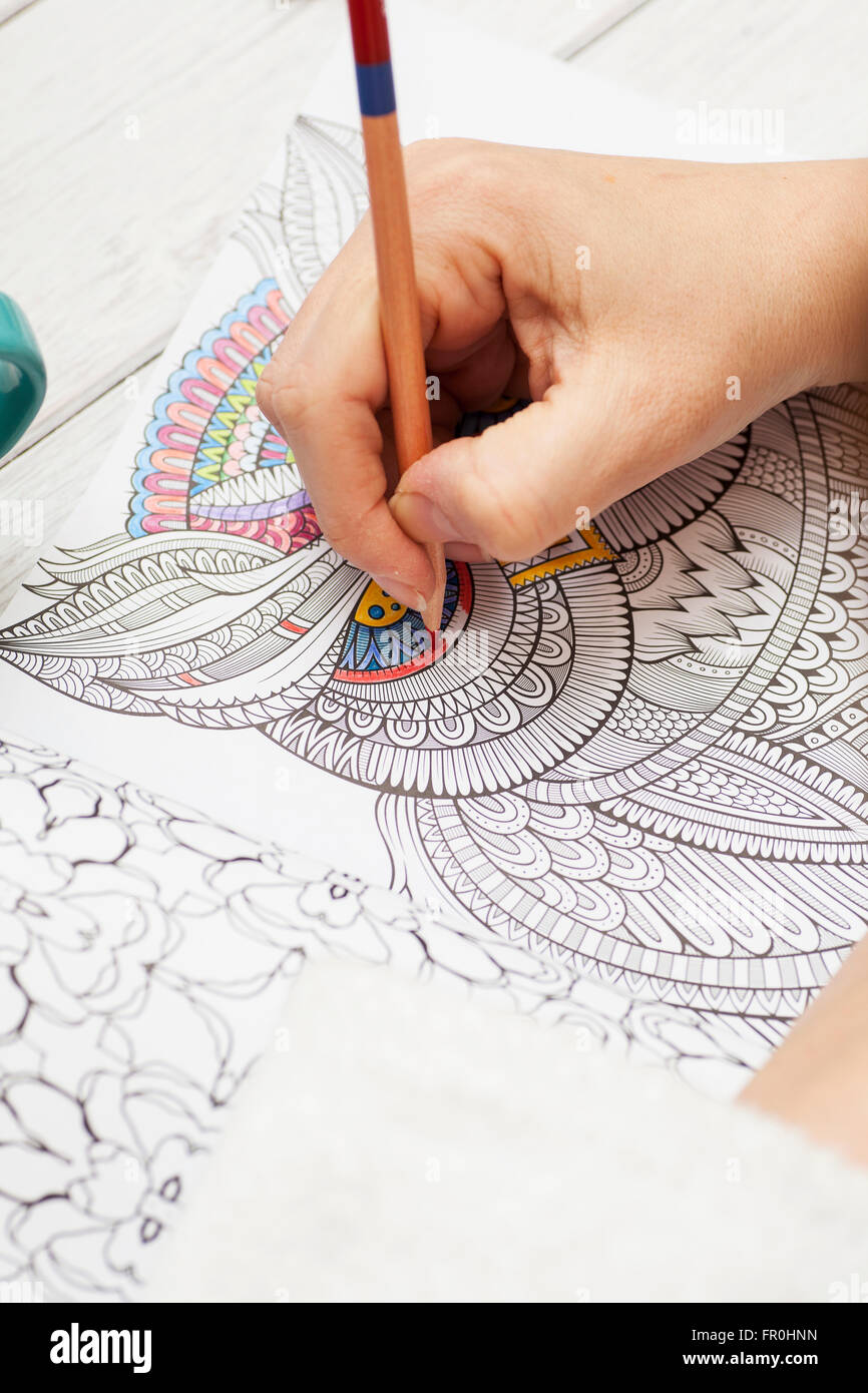 Person coloring in an adult coloring book with colorful pencil crayons ...