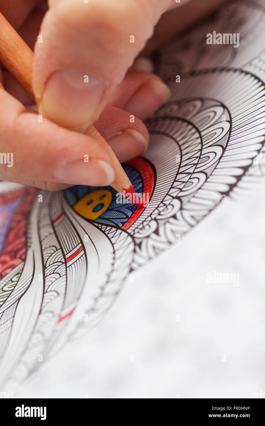 Person coloring in an adult coloring book with colorful pencil crayons ...