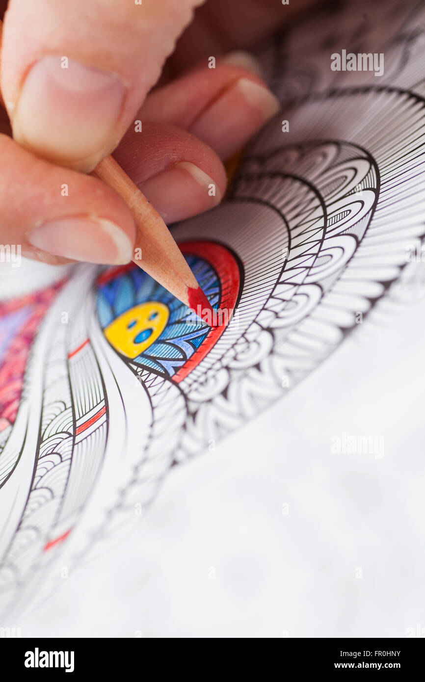Person coloring in an adult coloring book with colorful pencil crayons ...