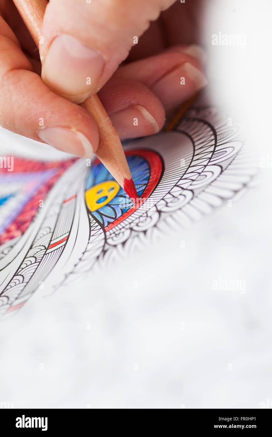 Person coloring in an adult coloring book with colorful pencil crayons ...