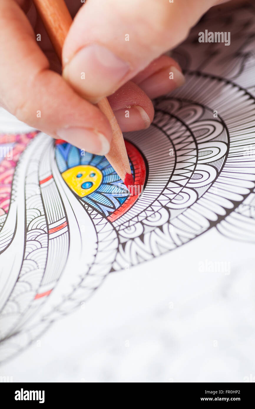 Person coloring in an adult coloring book with colorful pencil crayons ...