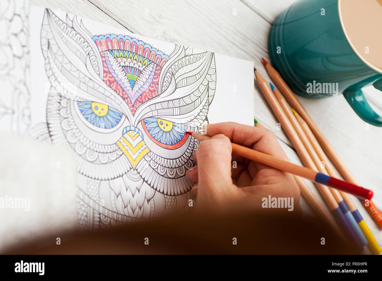 Person coloring in an adult coloring book with colorful pencil crayons ...