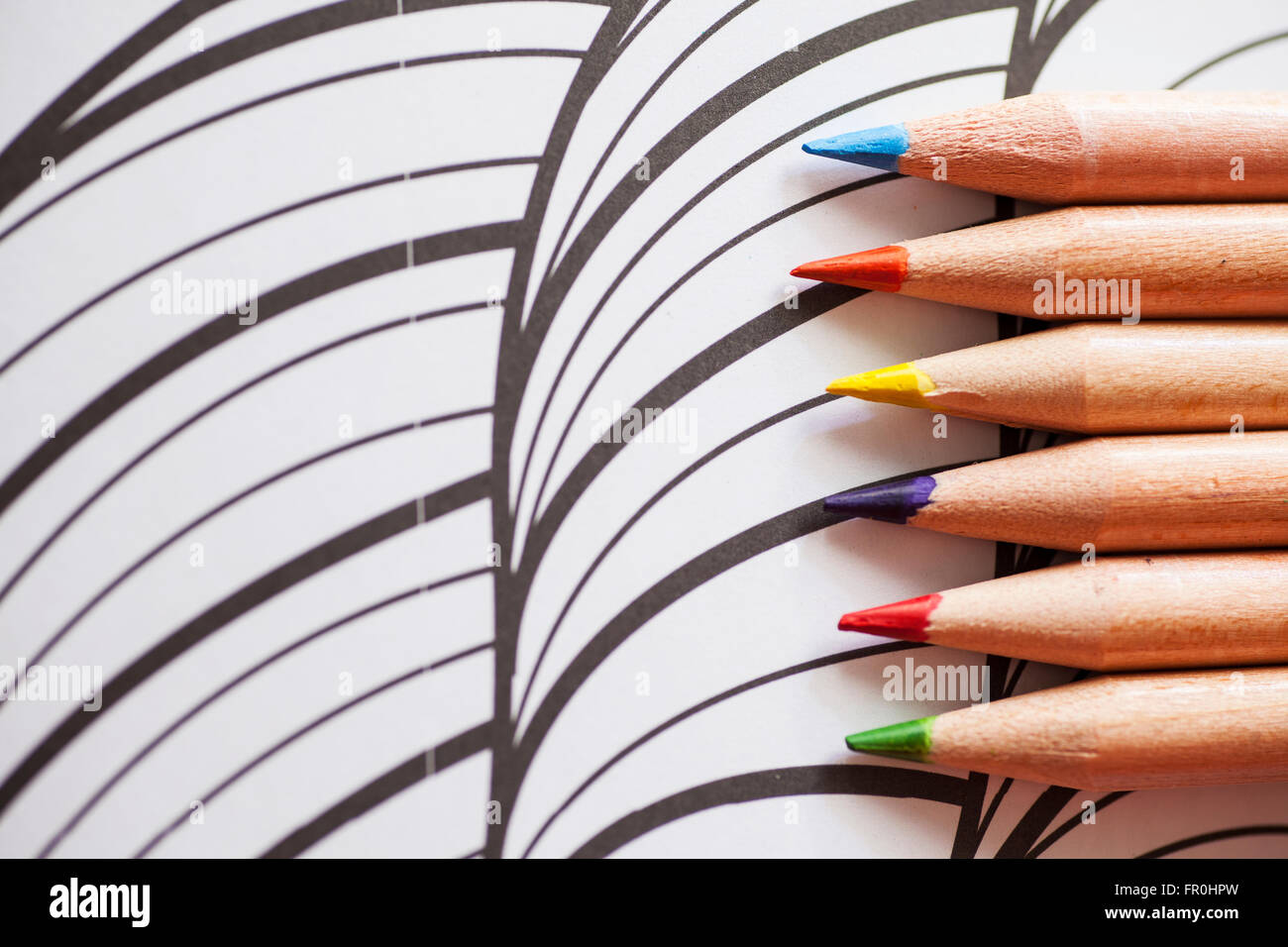 Person coloring in an adult coloring book with colorful pencil crayons ...