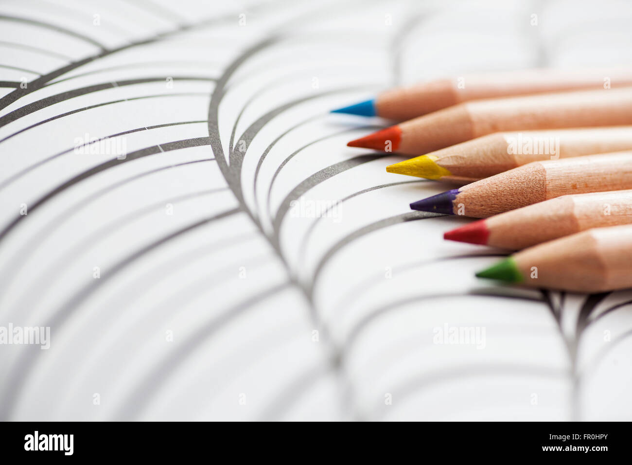Person coloring in an adult coloring book with colorful pencil crayons ...