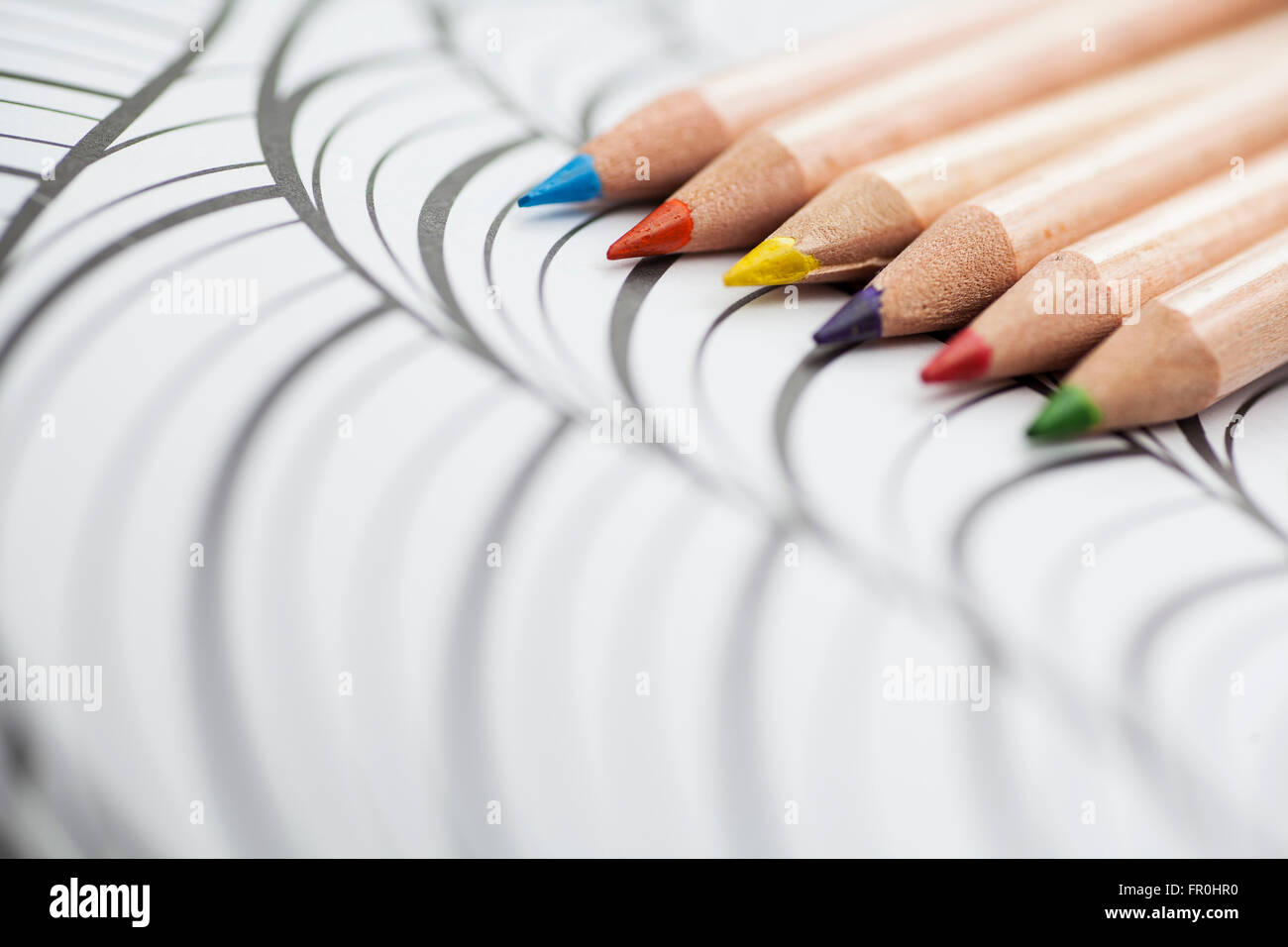 Person coloring in an adult coloring book with colorful pencil crayons ...