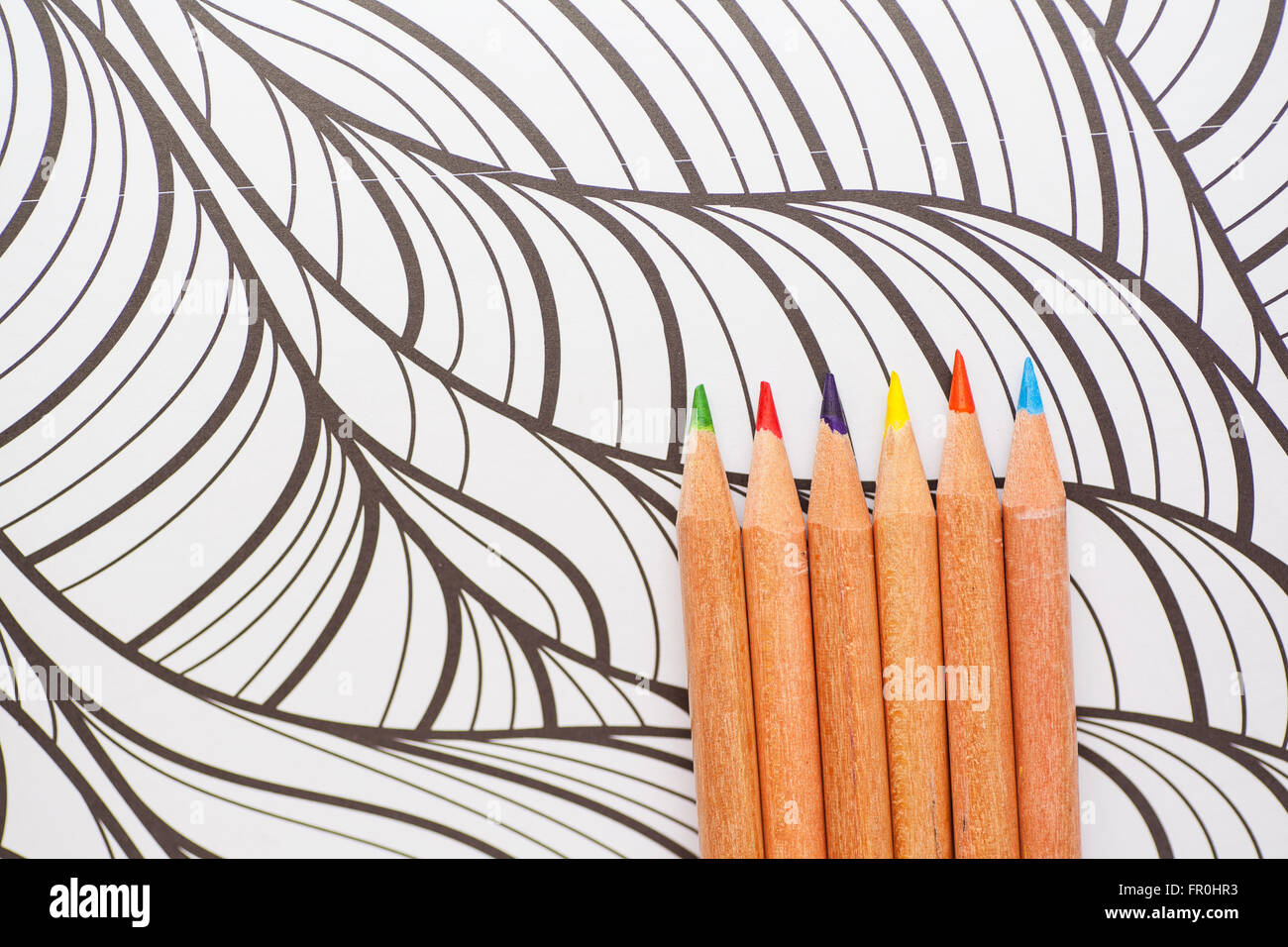 Person coloring in an adult coloring book with colorful pencil crayons ...