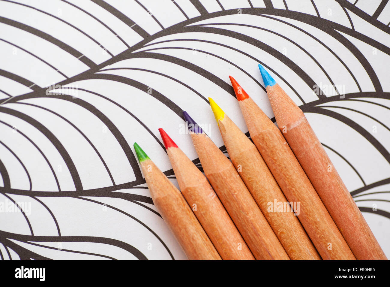 Person coloring in an adult coloring book with colorful pencil crayons ...