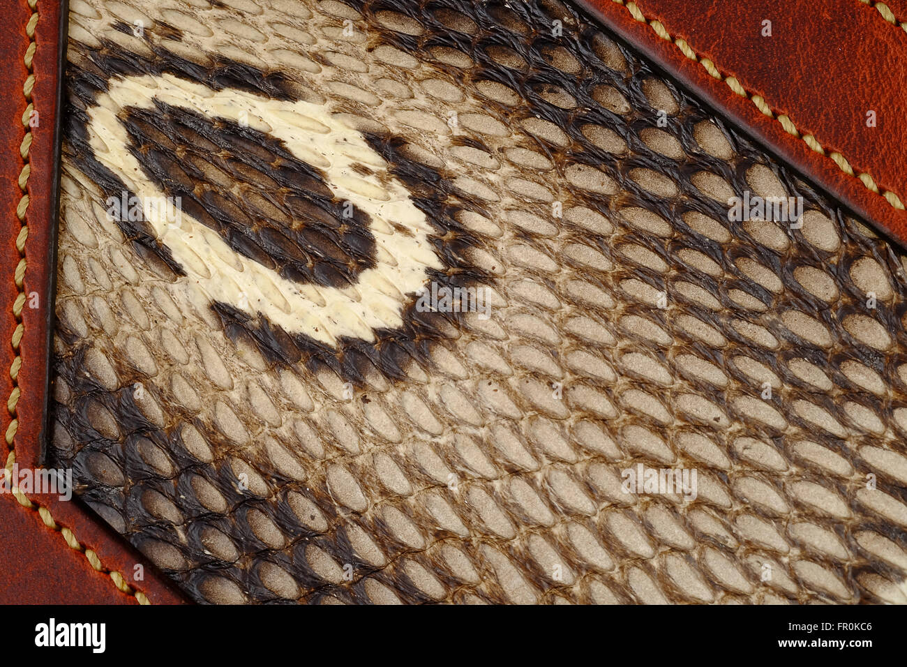 Snake leather or cobra skin texture - closeup, macro Stock Photo - Alamy