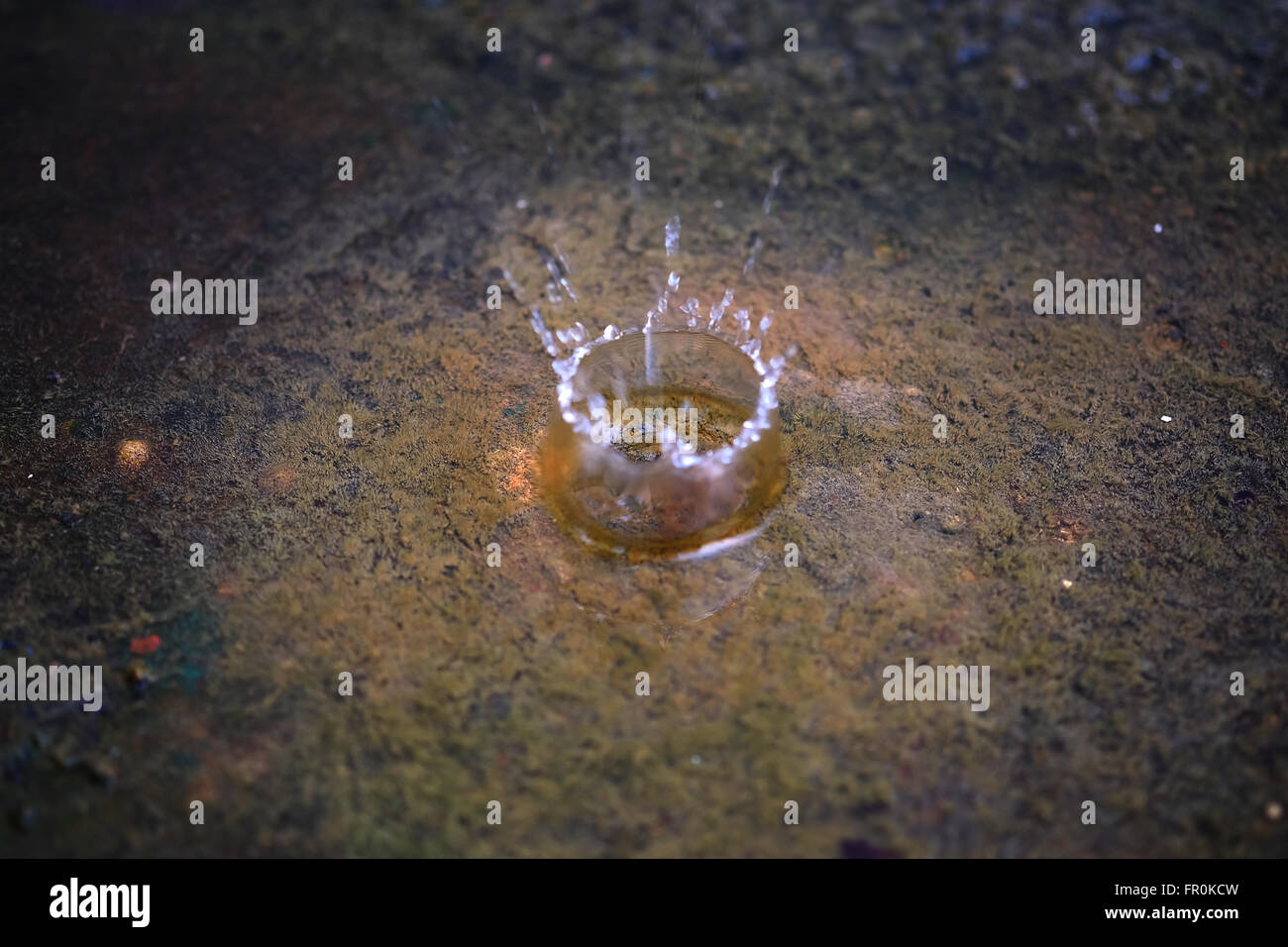 Water splash Water splash or water drop Stock Photo - Alamy